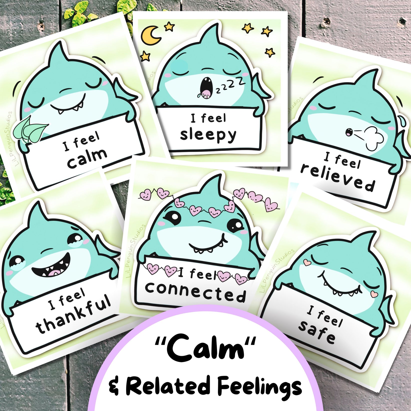 Feelings Autism Communication Cards | LiL Penguin Studios
