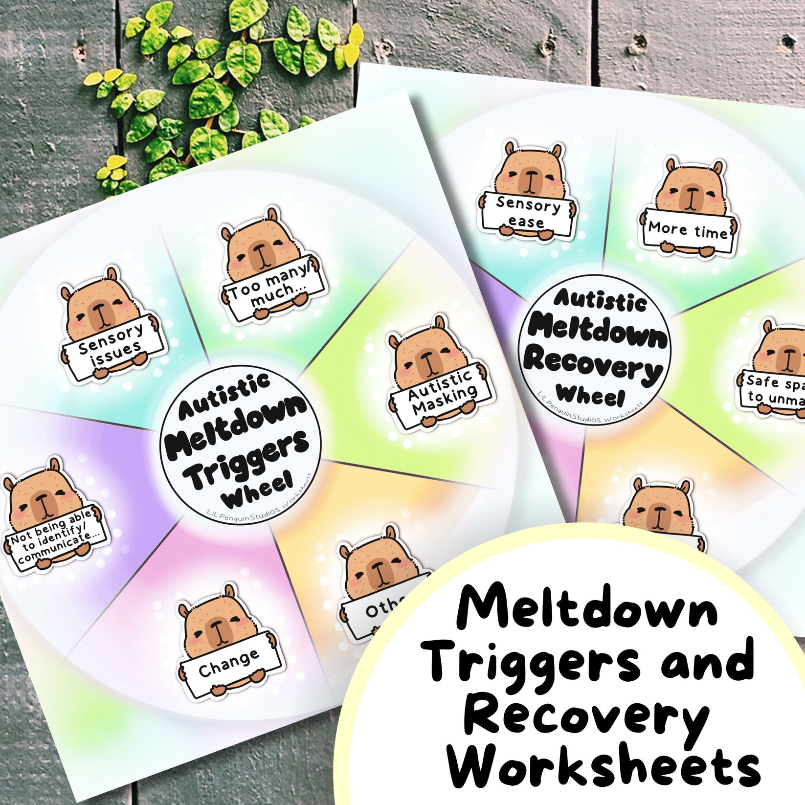 Capybara Autism Calm Kit | LiL Penguin Studios