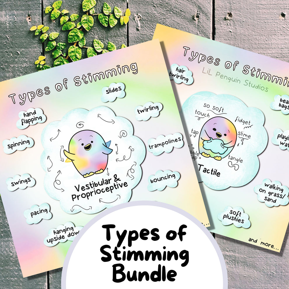 'Types of Stimming' Autism Kit | LiL Penguin Studios